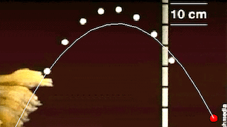 ⚽Ball Toss Simplified Video Model JavaScript Simulation Applet HTML5 - Open Educational ...