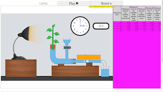 Transpiration Virtual Lab Factors affecting Transpiration Virtual Lab ...